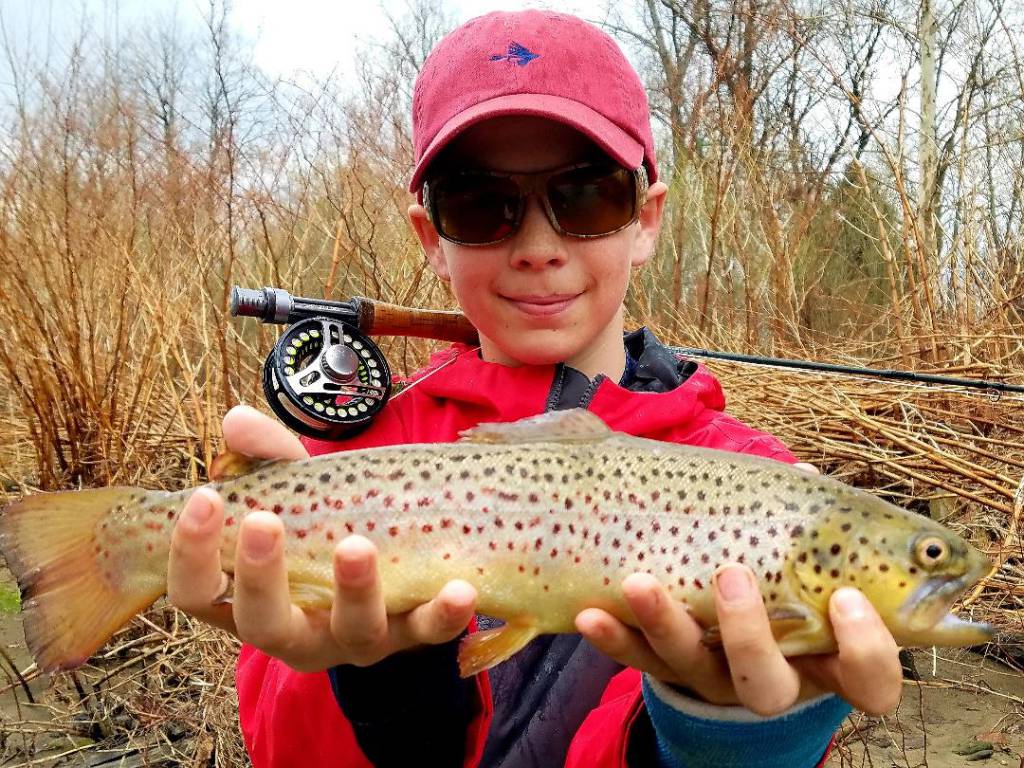 Spring Fly Fishing for Inland Trout, Lake Run Trout, & Smallmouth Bass